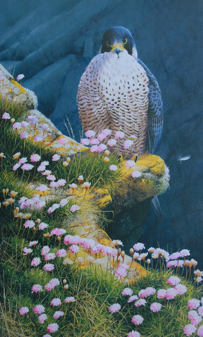 Terence Lambert - Wildlife Artist